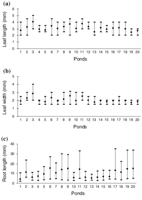 Variation In Leaf Length Leaf Width And Root Length Values Based On