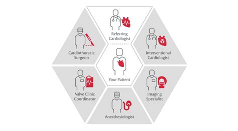 Aortic Regurgitation Edwards Lifesciences