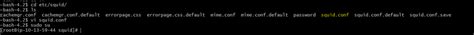 Proxy Server Setup With EC Instance Using Squid Service