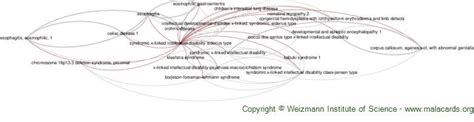 Syndromic X Linked Intellectual Disability Siderius Type Disease Malacards Research Articles