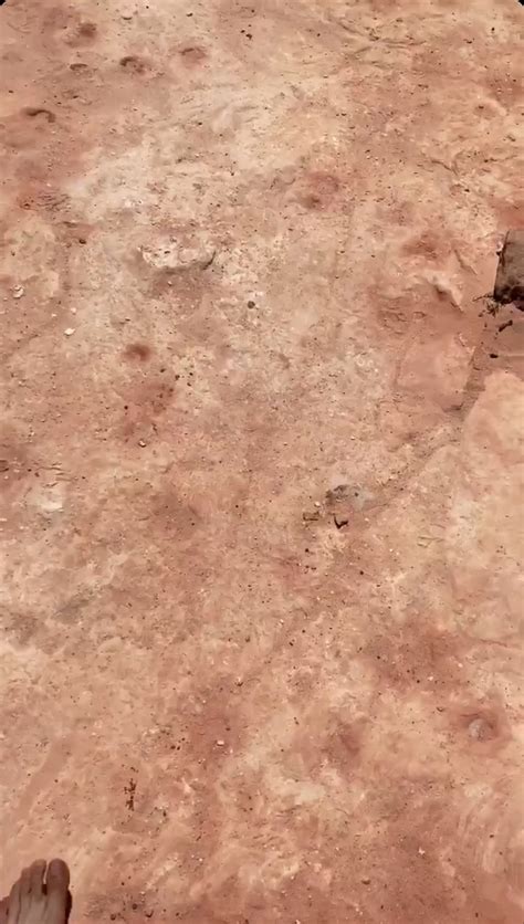 Isaiah Firebraces Feet