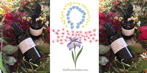 Wildflowerwalker Flower Codes Directory