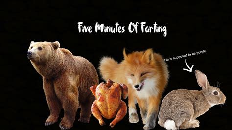 Five Minutes Of Farting Release Trailer Youtube