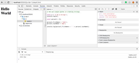 Figure 3 Debugging Typesjs