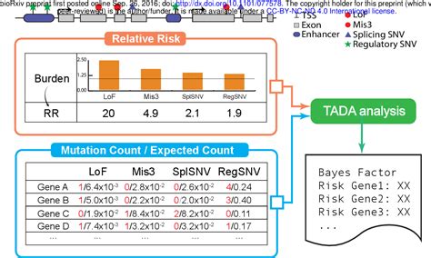 Figure 1 From Contribution Of De Novo Non Coding Mutations To Autism And 1 Identification Of