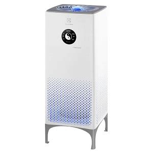 Фильтры для Electrolux EAP-2075D Yin&Yang с доставкой