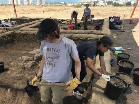 Akko Cures Sad Boy Hours Tel Akko