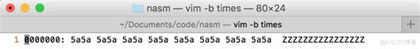 Navmeshcomponents教程 Nasm使用教程mob64ca13f96cda的技术博客51cto博客