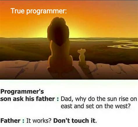 it works 😊 don t touch it r programmerhumor