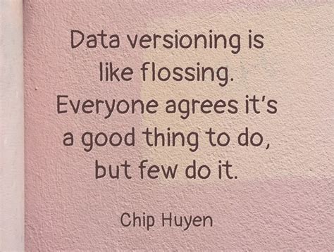 data versioning dull ai