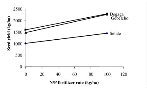 Faba Bean Seed Yield As Influenced By The Interaction Of Phosphate
