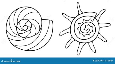 Two Different Hand Drawn Seashells Black Outline Vector Illustration Stock Vector Illustration