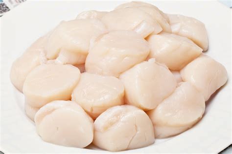 Raw Scallops