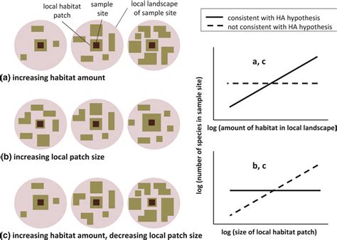 Journal Of Biogeography Wiley Online Library