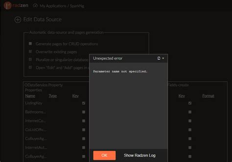 Swagger Infer Error Radzen