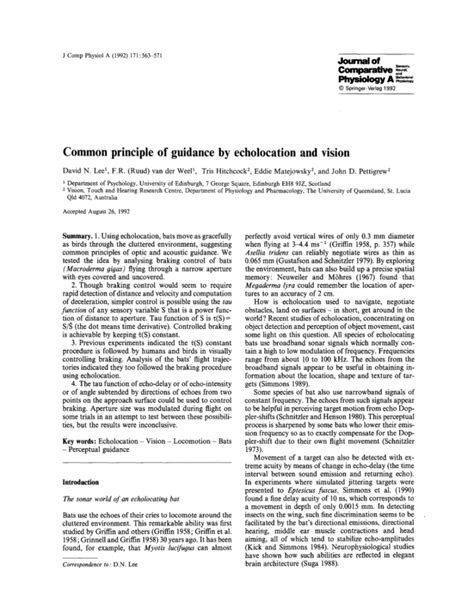 Common Principle Of Guidance By Echolocation And Vision