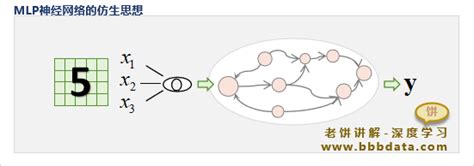一步一步了解mlp神经网络 多层感知机 的模型结构详述 老饼讲解