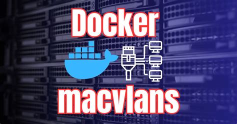 Daniel Simelka On Linkedin Macvlan Docker Configuration And Virtual Switch Setup In Vmware Esxi…