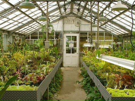 Greenhouse Porn GreenhousePorn Twitter
