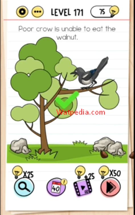 Brain Test Level 171 Poor Crow Is Unable To Eat The Walnut