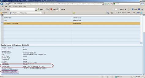 Sap Jvm Monitoring Steps Eg Self Service Portal