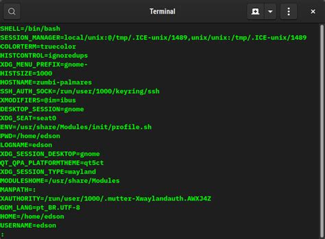 Erro No Dpkg Debian 10 Iniciantes Diolinux Plus