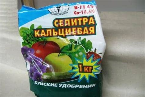 Кальциевая и аммиачная селитра для огурцов: применение и подкормка