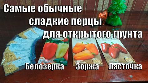 Сладкие перцы , проверенные временем Белозерка, Ласточка, Зоржа - YouTube