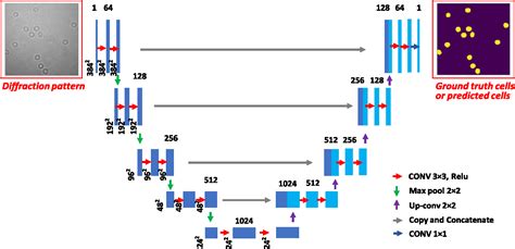 High Throughput Label Free Cell Detection And Counting From Diffraction