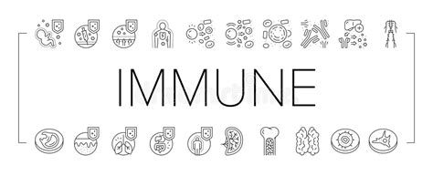 Passive Immunity Stock Illustrations 205 Passive Immunity Stock