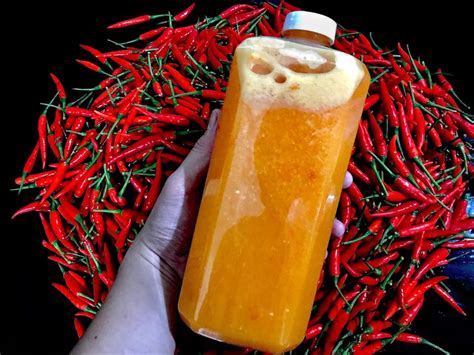 Hutas Vinegar What Is Sukang Paombong Nipa Palm Facebook