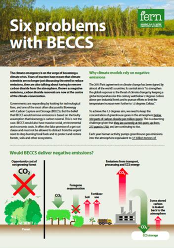 Six Problems With Beccs Fern