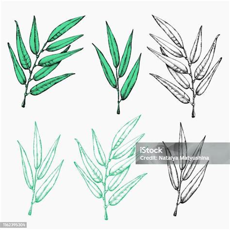 월계관 화환 아이콘입니다 월계수 가지로 만든 엠블럼 월계수는 고품질올리브 식물의 상징을 남깁니다 흰색 배경에 격리된 서명합니다 벡터 일러스트레이션 경쟁에 대한 스톡 벡터