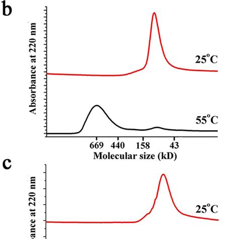 The C Terminal Domain Ctd Of Nusa Mediates Oligomerization A The