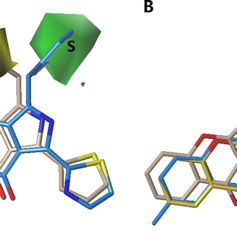 Steric A And Electrostatic B Fields For Receptor Based Comsia Se