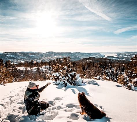 50,000+ Best Snow Photos · 100% Free Download · Pexels Stock Photos