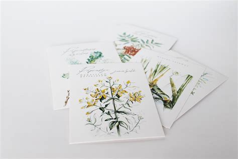 S O R C E R E S S S P O C K E T On Behance