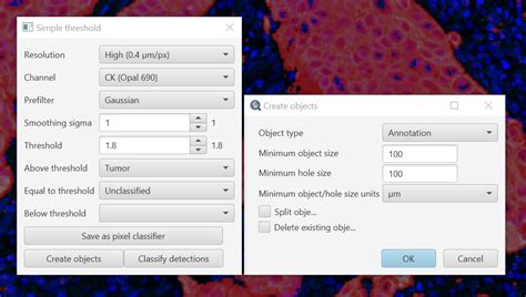 qupath 0 2 0 m4 subcellular particle analysis image analysis image