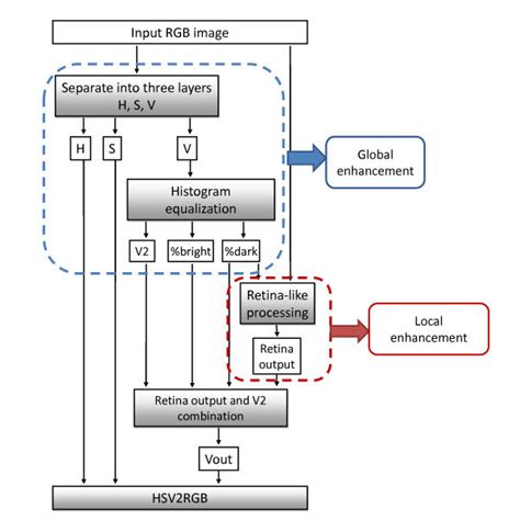 block diagram of the proposed tone mapping operator download