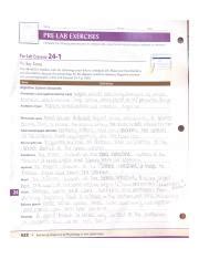 Pre Lab Lab Pdf Course Hero