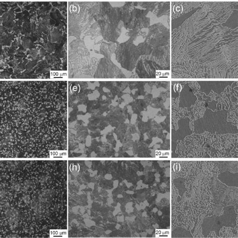Parameters Of Annealing Microstructure In Studied Steels Download Table