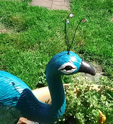 Peacock Face By Eternalgravity On Deviantart