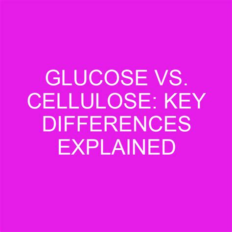 Glucose Vs Cellulose Key Differences Explained Differencess