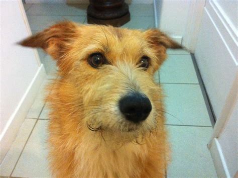 Tullio E Maria Sofia Home