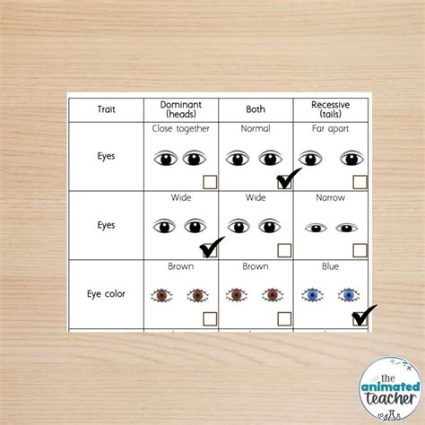 Fun Introduction To Genetics Activity Genetic Traits