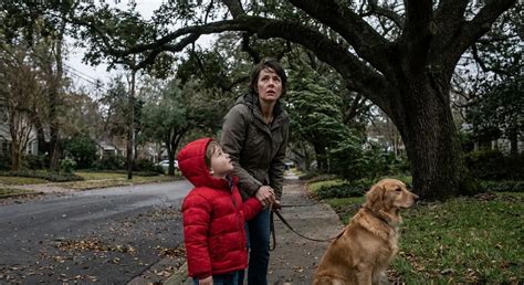 Cold Snap Triggers Exploding Trees Warnings Edvigo