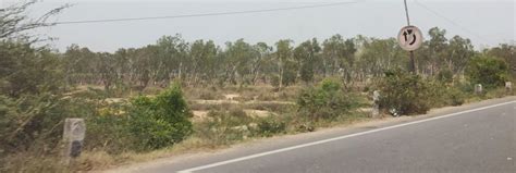 Trees Name In Punjabi For English Readers HubPages