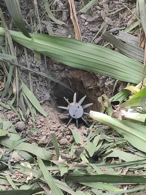 ဒီပဲယင်းအရှေ့ခြမ်းကျေးရွာများကို လက်နက်ကြီးဖြင့် စစ်ကောင်စီတပ်အကြောင်းမဲ့ပစ်ခတ် သံလွင်ခက်