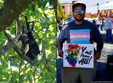 Arcus Latest Grants In Apes Conservation And Lgbtq Social Justice