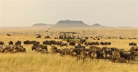 Serengeti National Park Travel Information Tanzania
